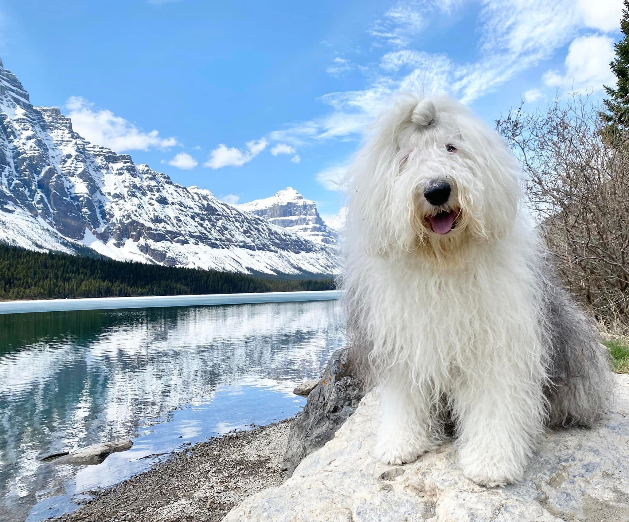 Hello Norman – Preston Gallery